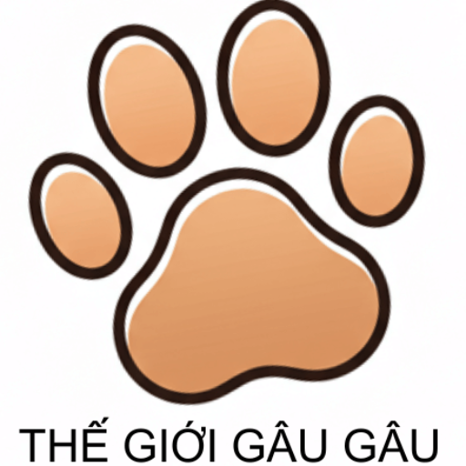 Đặc điểm và cách nuôi Chó Basenji - Thế Giới Gâu Gâu